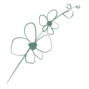 Lily Grove Collection – Lily Grove Collection