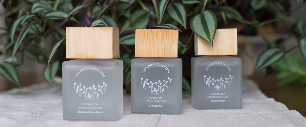 Lily Grove Collection