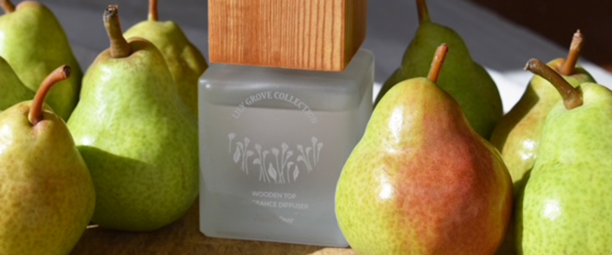 Lily Grove Collection